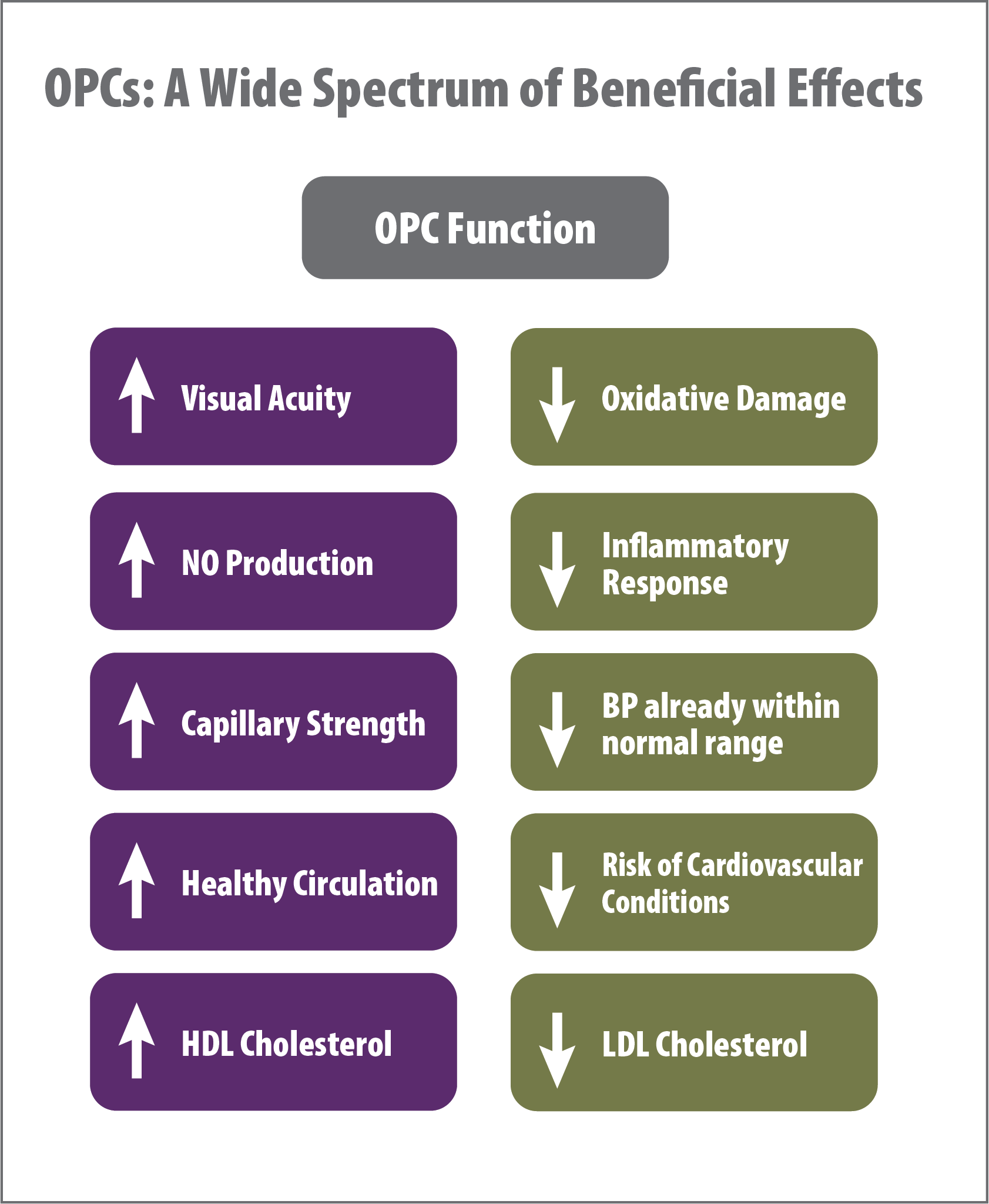 OPCs: The Wide-Reaching Power of these Super Antioxidants ...